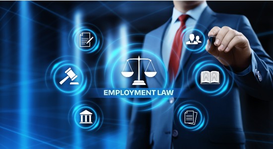 Employment Disputes | DLG Legal Services